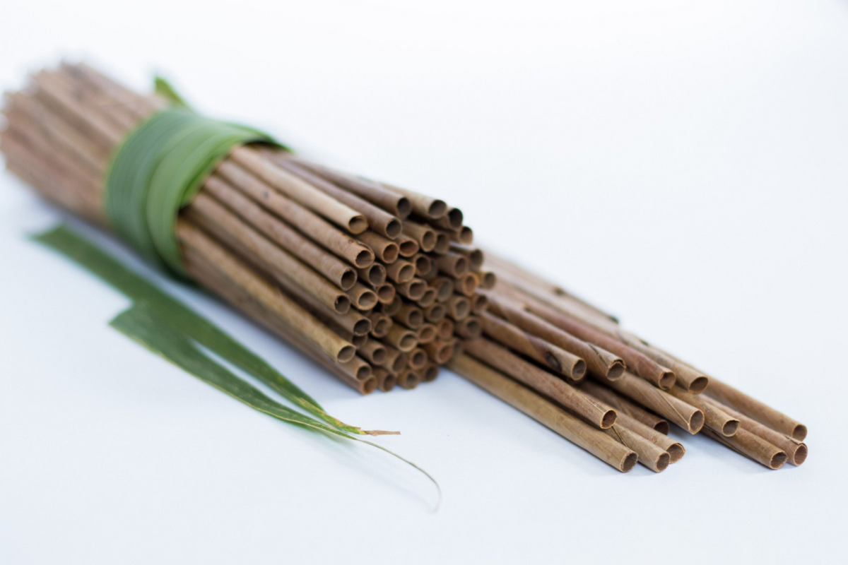 Leafy Straw - Coconut Palm Leaf Drinking Straws (50 Count) - FREE US S ...