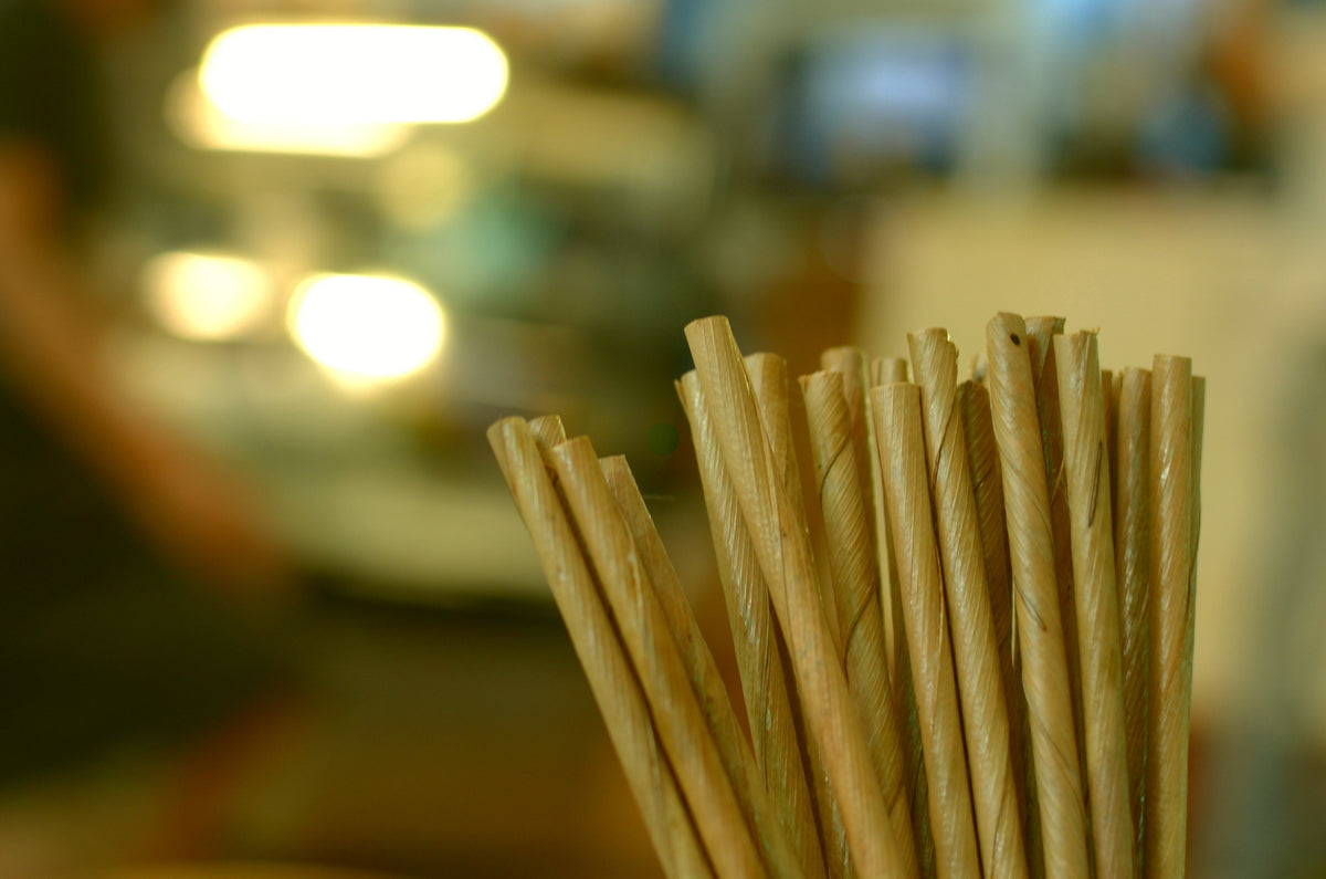 Leafy Straw - Coconut Palm Leaf Drinking Straws (50 Count) - FREE US S ...